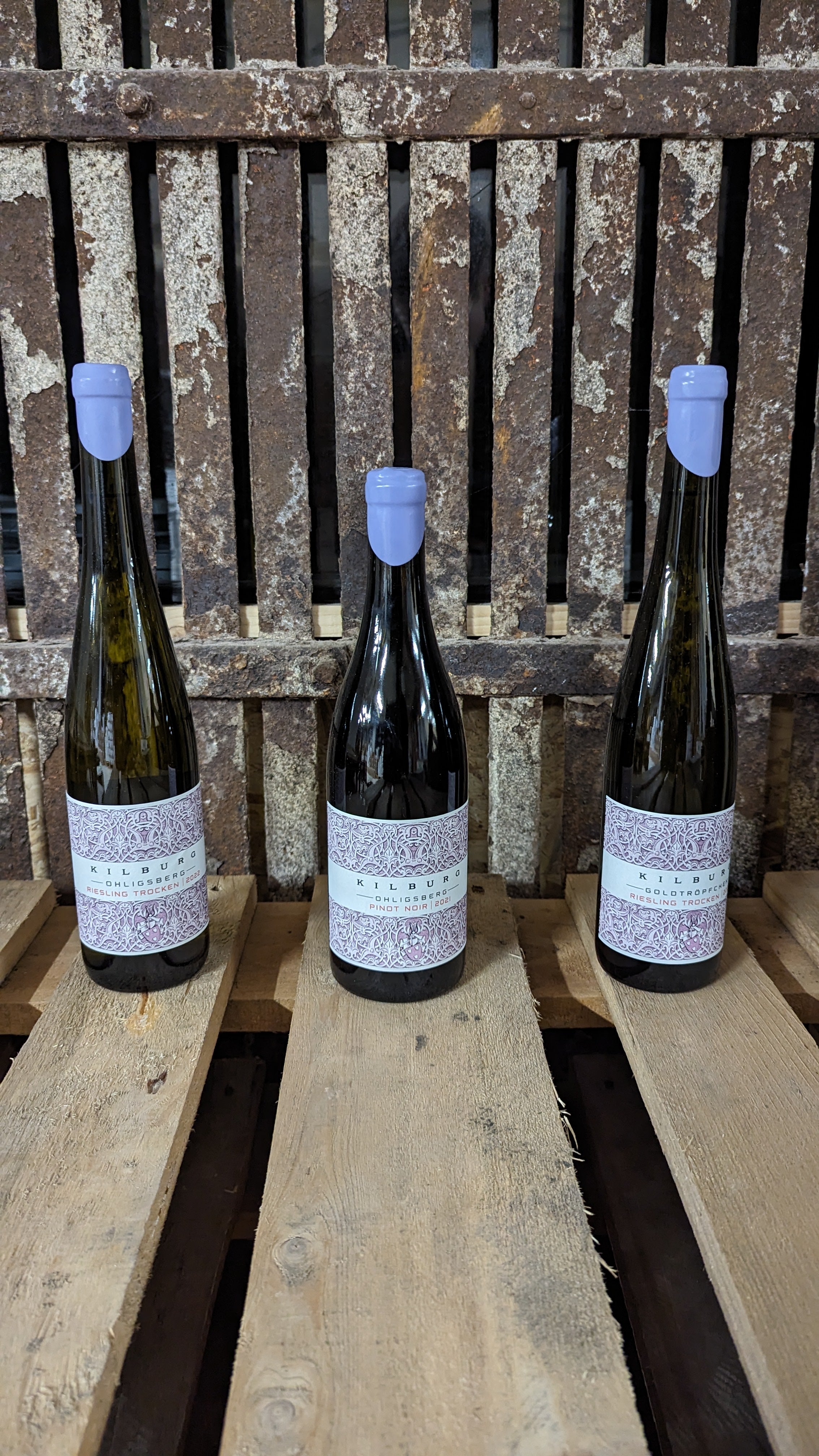 Max Kilburg - Spätburgunder + Riesling Trio
